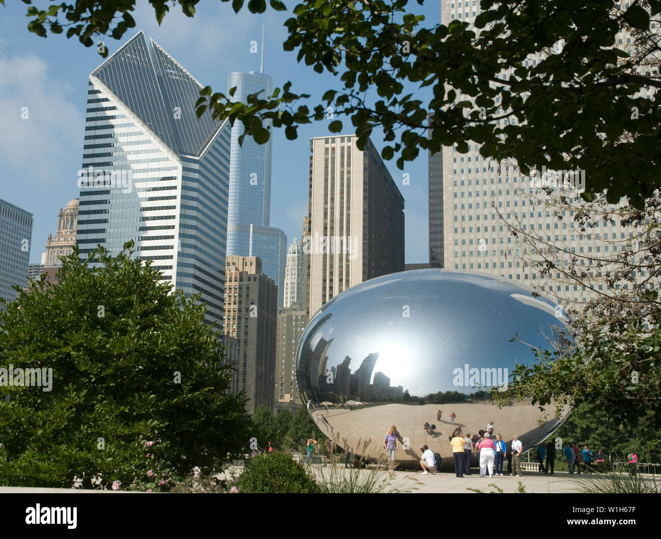 Tom bean tree hi-res stock photography and images - Alamy