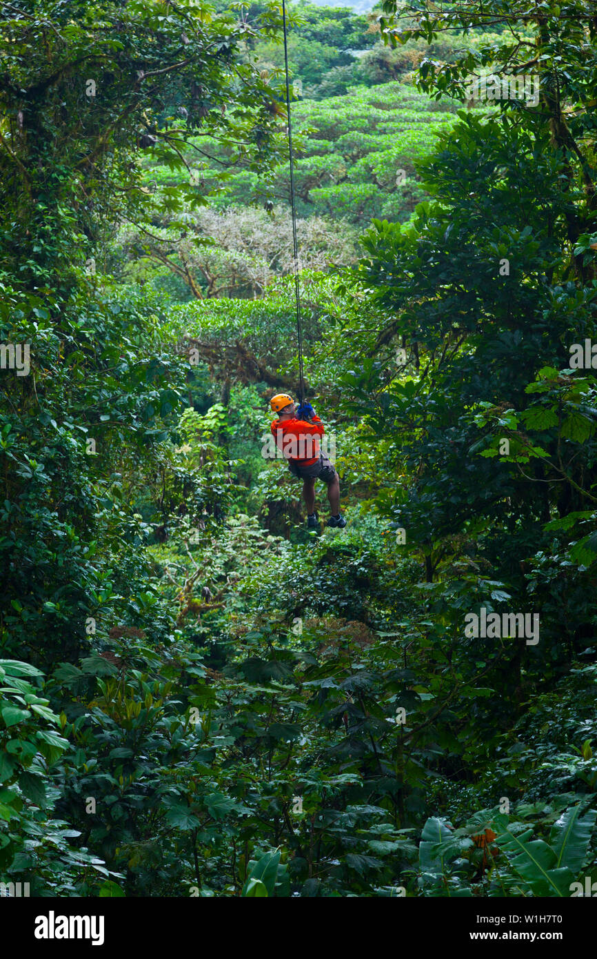 Canopy Trail, Tarzan Swing, Santa Elena Cloud Forest Nature Reserve ...