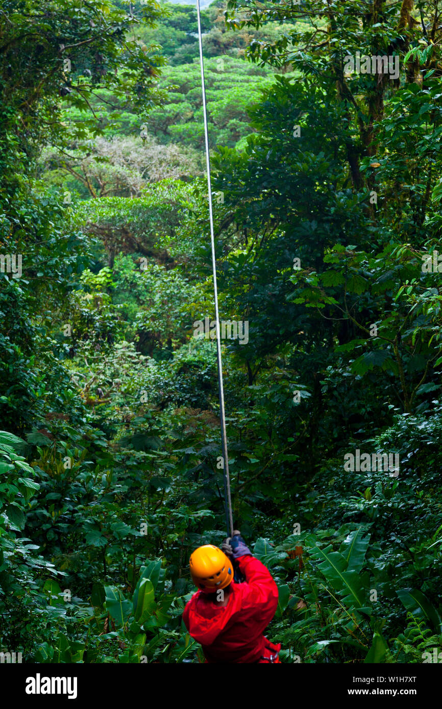 Canopy Trail, Tarzan Swing, Santa Elena Cloud Forest Nature Reserve ...