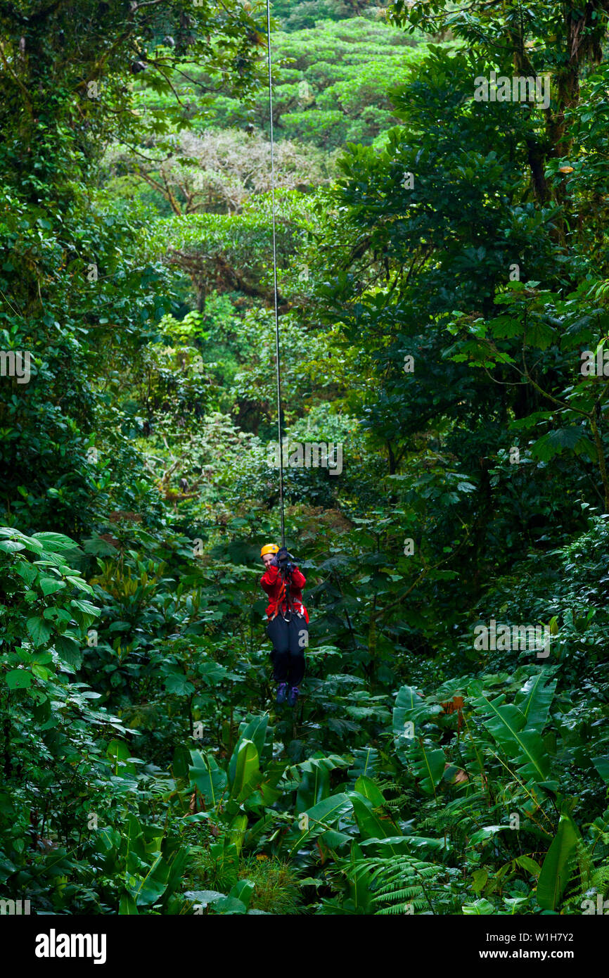 Canopy Trail, Tarzan Swing, Santa Elena Cloud Forest Nature Reserve ...