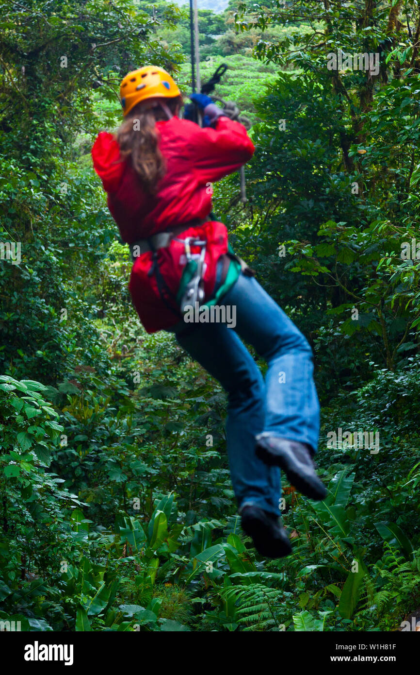 Canopy Trail, Tarzan Swing, Santa Elena Cloud Forest Nature Reserve ...
