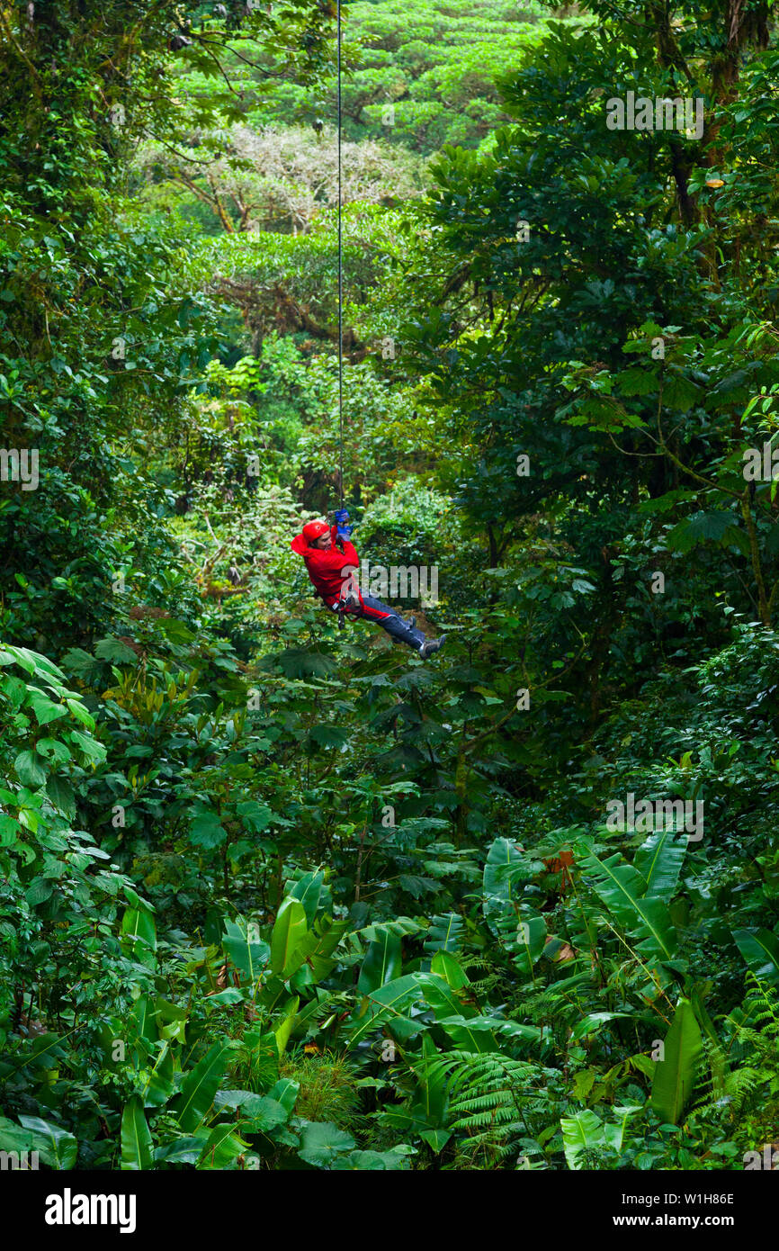 Canopy Trail, Tarzan Swing, Santa Elena Cloud Forest Nature Reserve ...