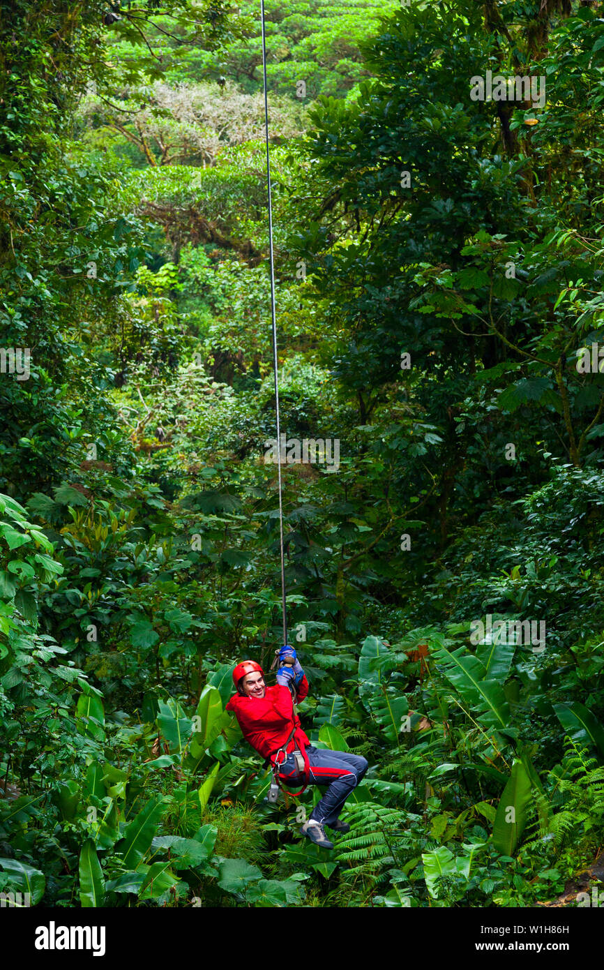 Canopy Trail, Tarzan Swing, Santa Elena Cloud Forest Nature Reserve ...