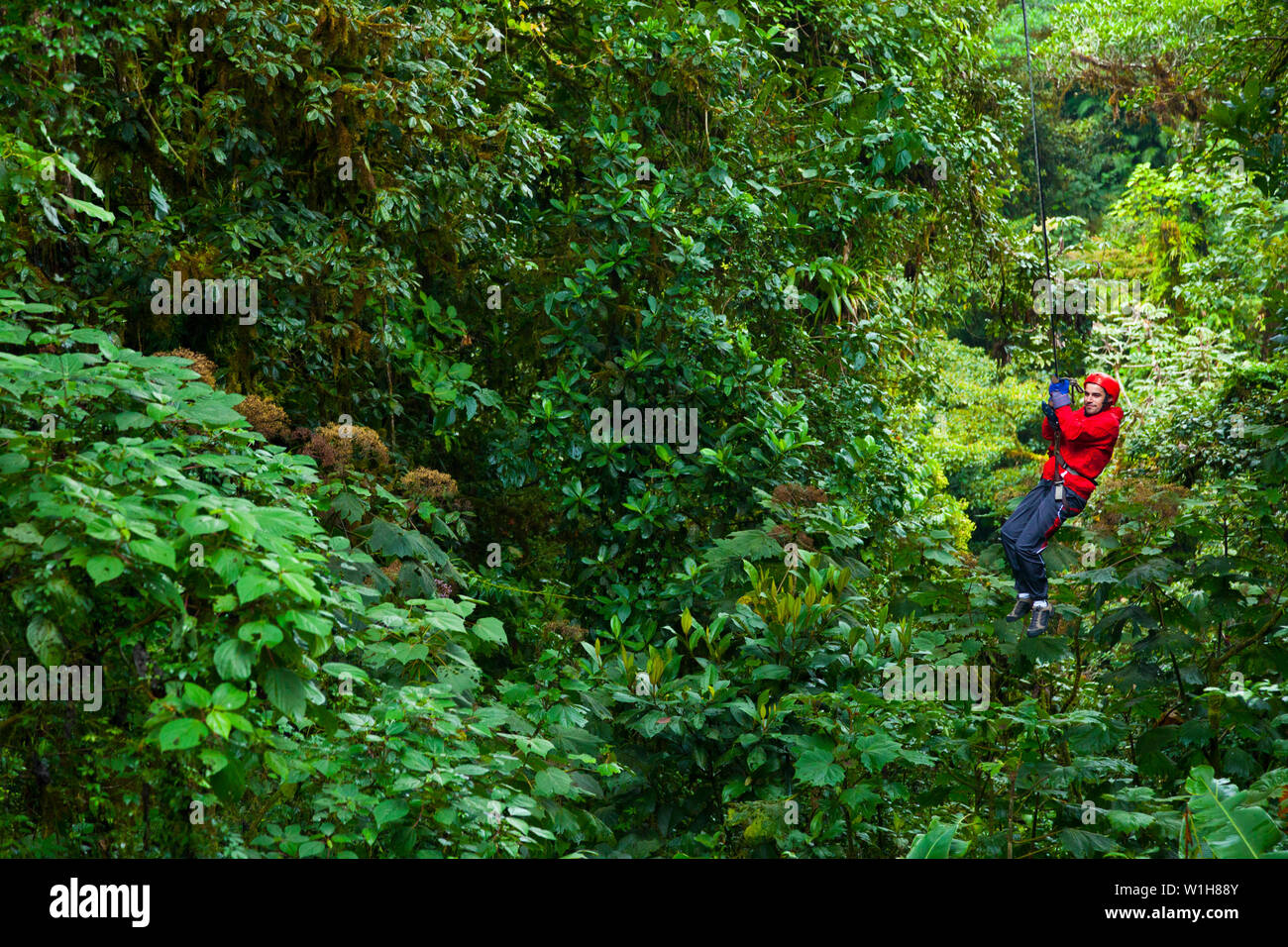 Canopy Trail, Tarzan Swing, Santa Elena Cloud Forest Nature Reserve ...