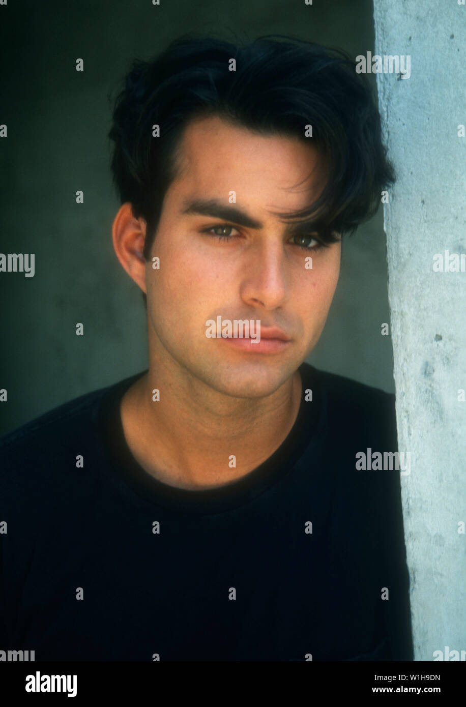 Los Angeles, California, USA 30th July 1994 (Exclusive) Actor Dave ...