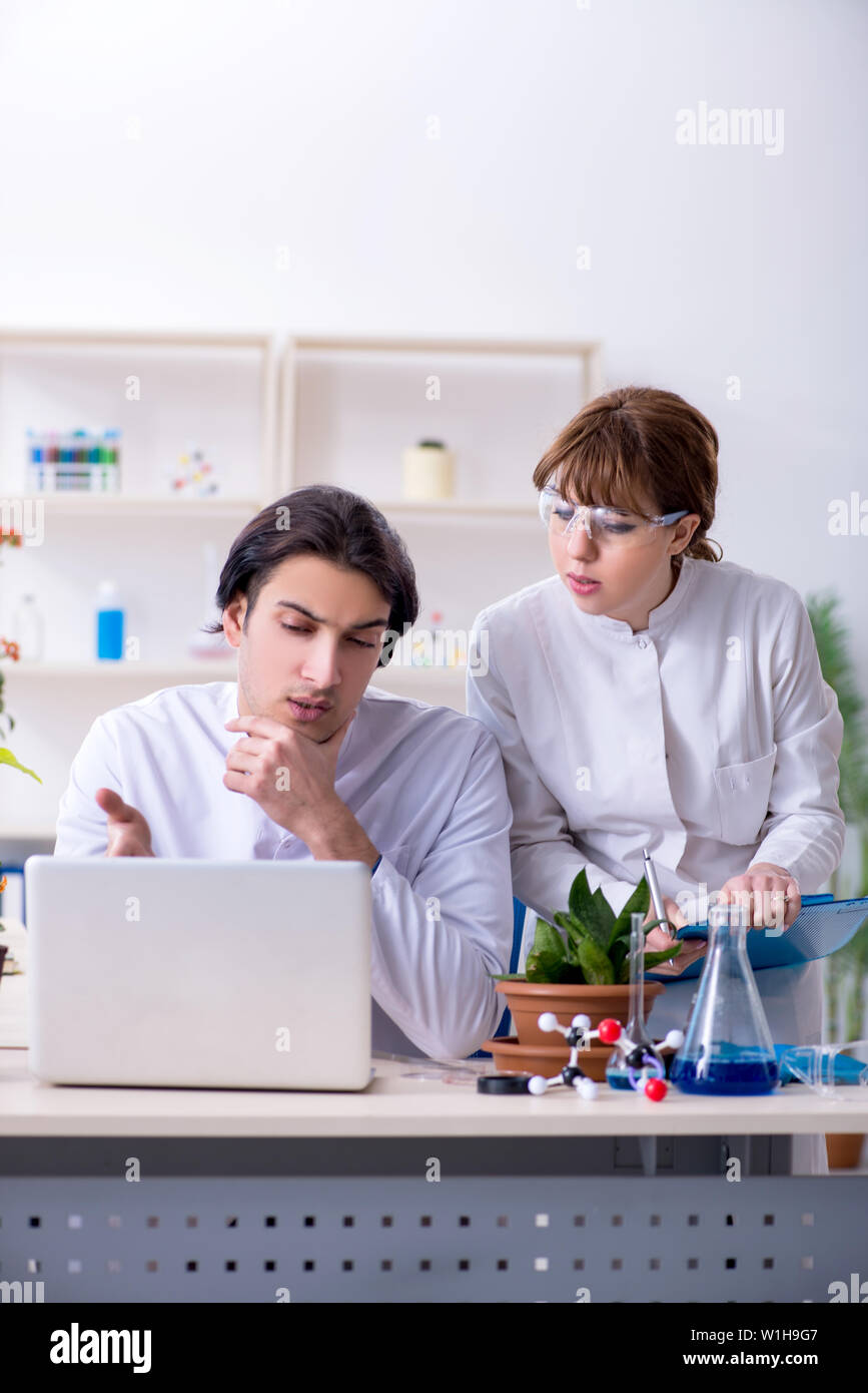 The two young botanist working in the lab Stock Photo - Alamy