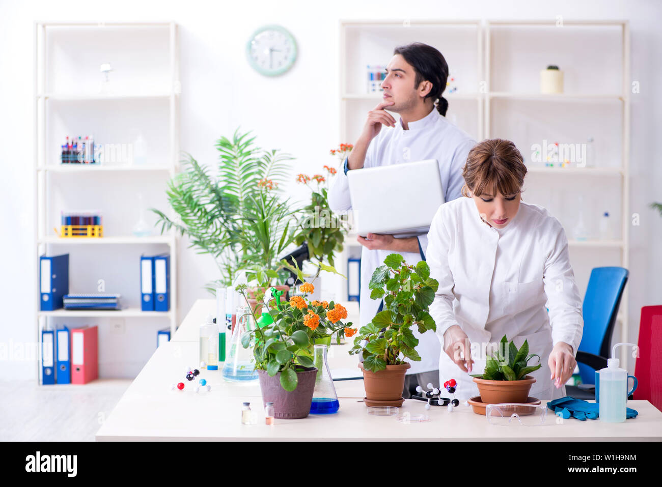 Potted seedling in lab hi-res stock photography and images - Alamy