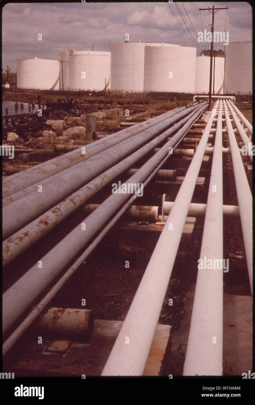 OIL PIPELINES FROM UNLOADING DOCKS TO STORAGE TANKS AT GETTY TERMINAL ...