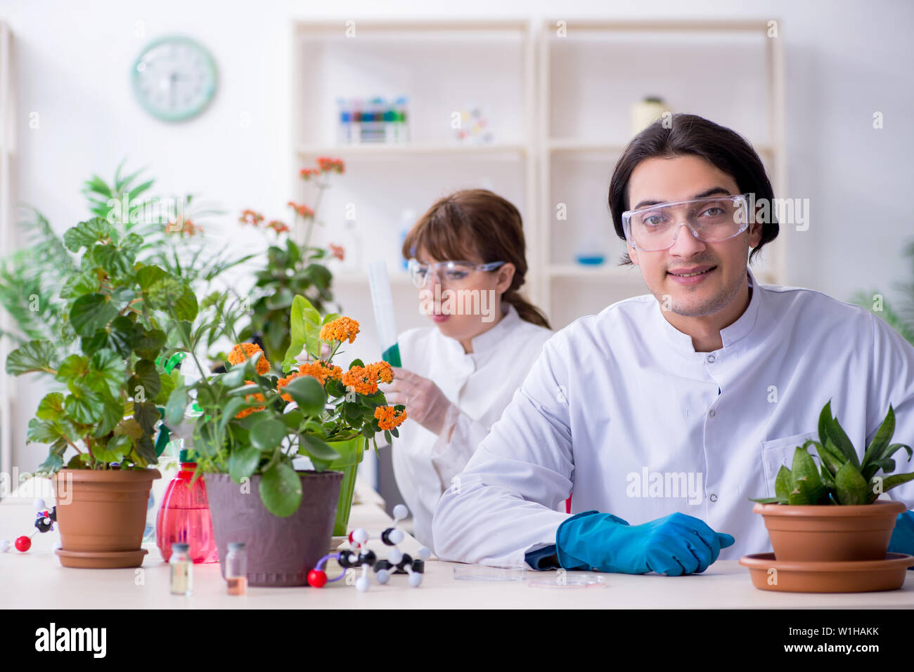 The two young botanist working in the lab Stock Photo - Alamy