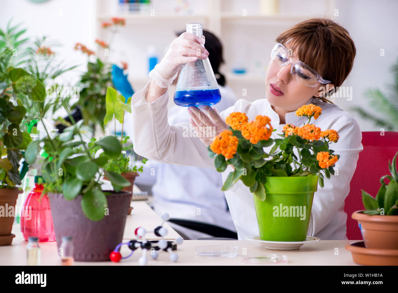 Botanist researcher woman examining green hi-res stock photography and ...