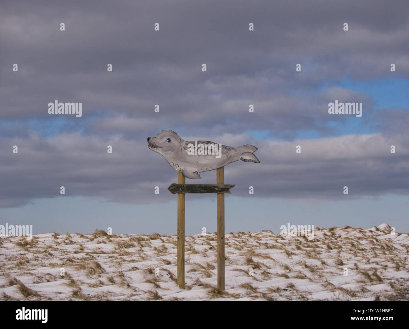 Small Seal High Resolution Stock Photography and Images - Alamy