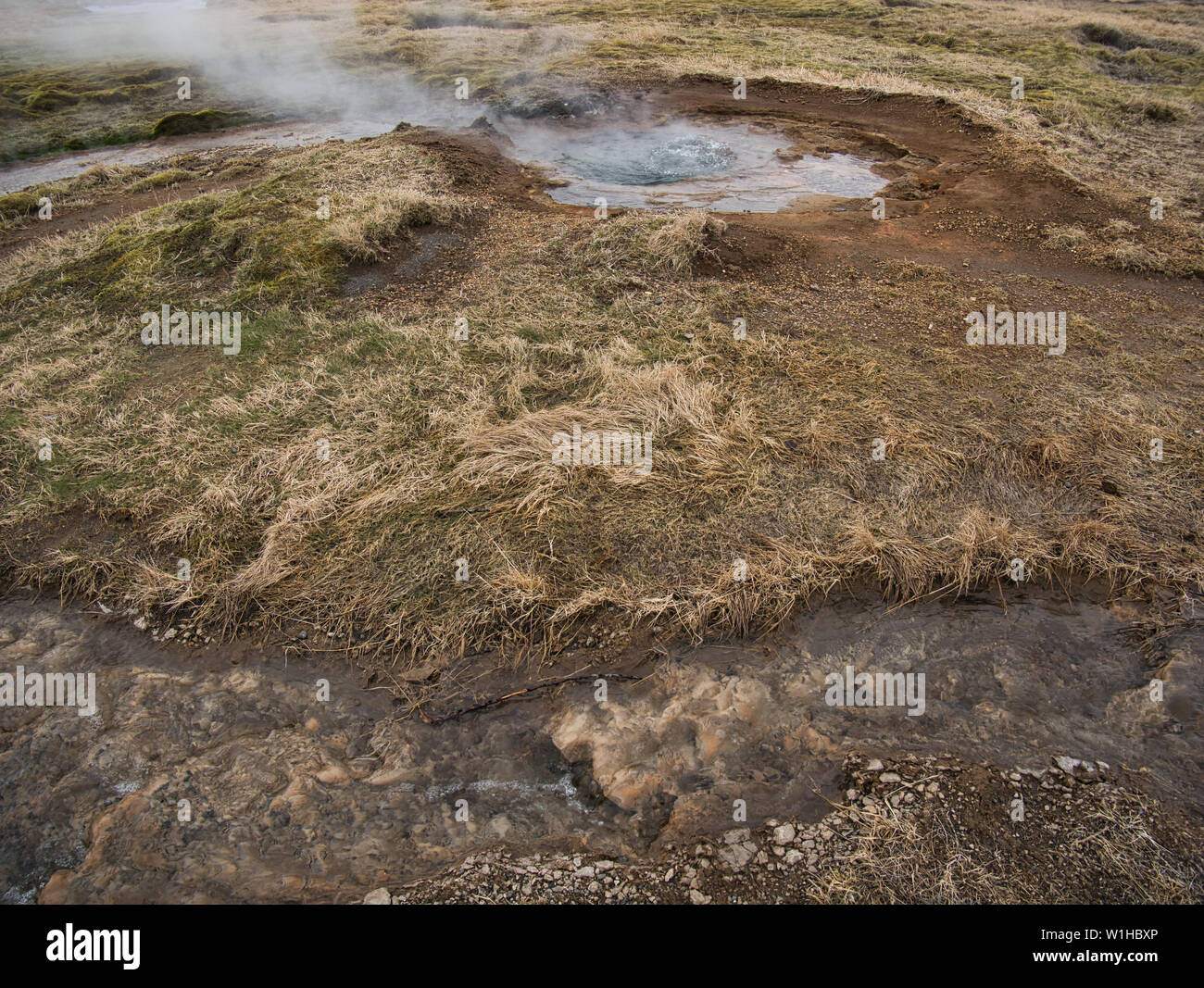 A small geothermal pool with boiling water in Iceland Stock Photo - Alamy