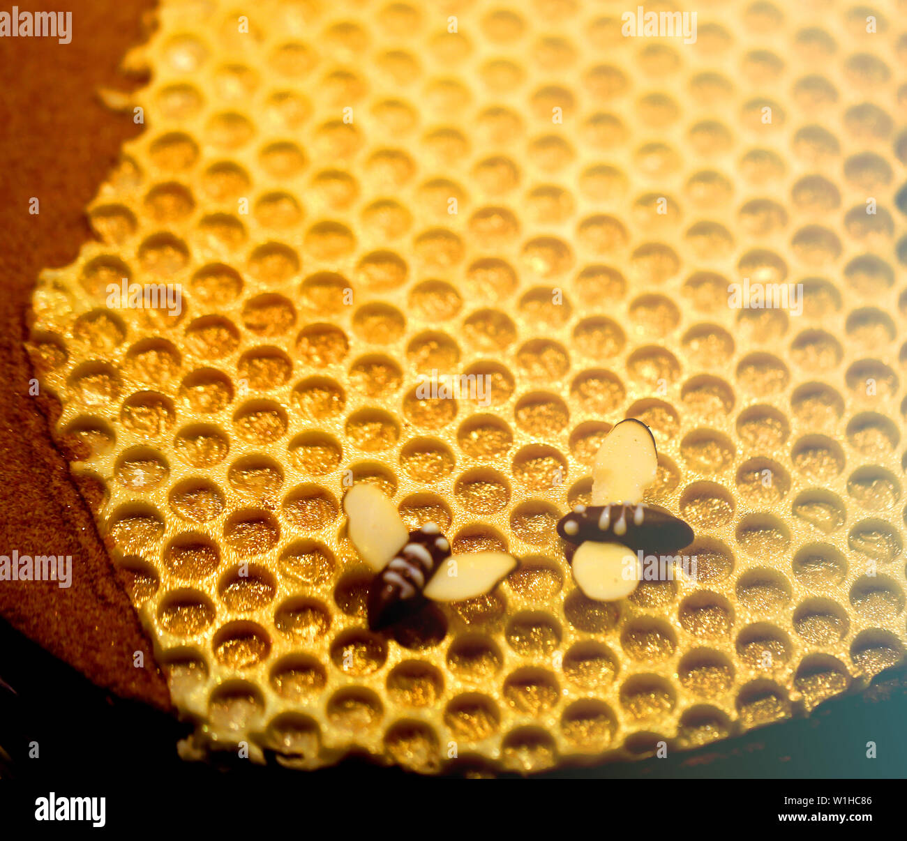 Delicious cookies with honey and bee photographed close-up Stock Photo ...