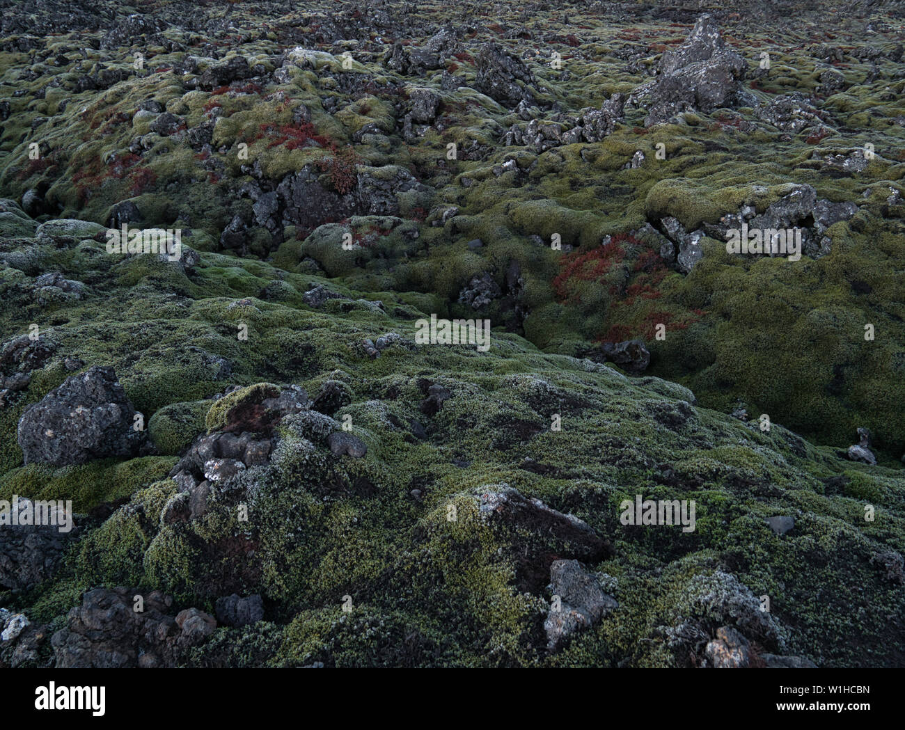 Lava rocks in iceland hi-res stock photography and images - Alamy