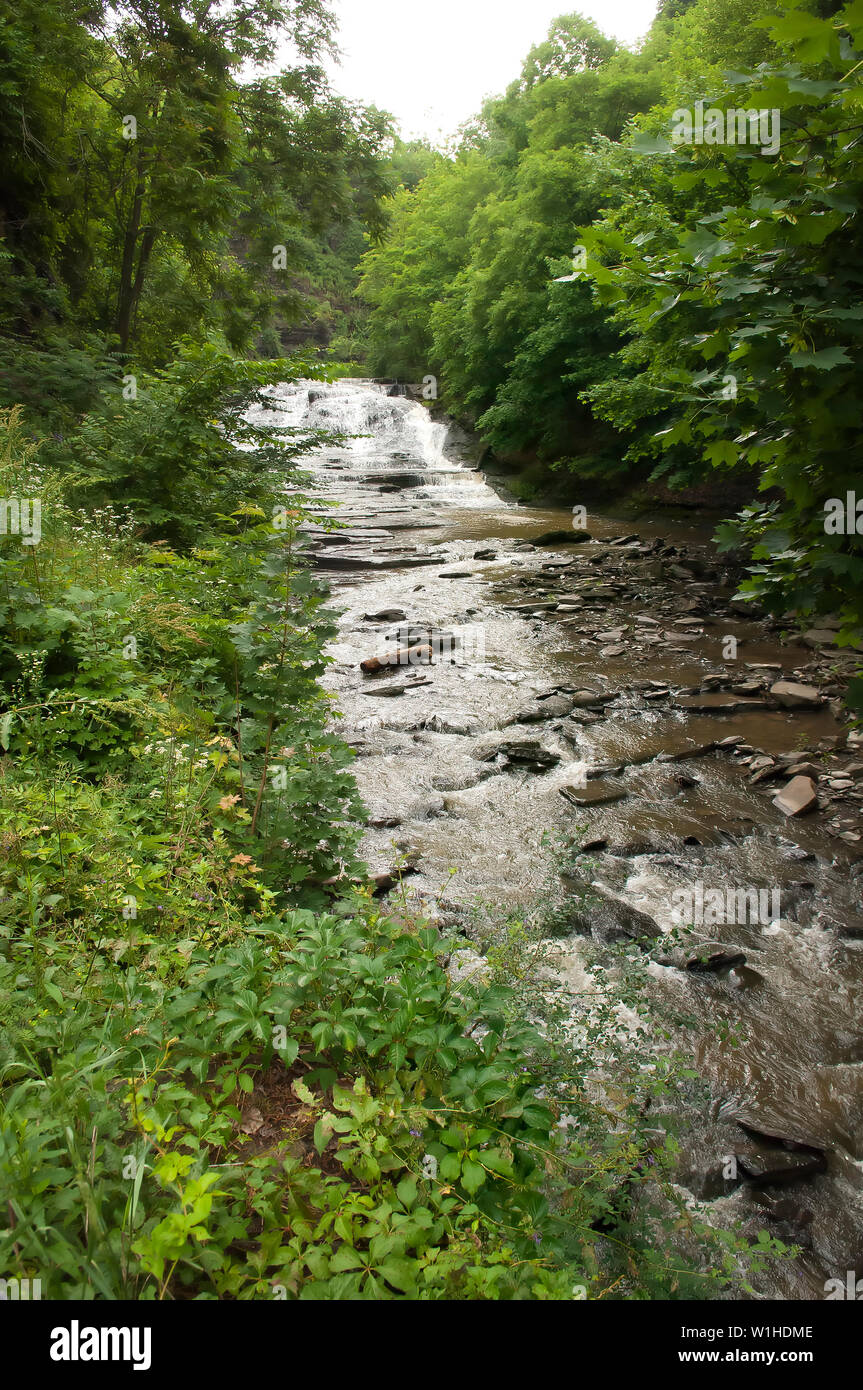 A flowing stream and cascade of water over rocks Stock Photo - Alamy