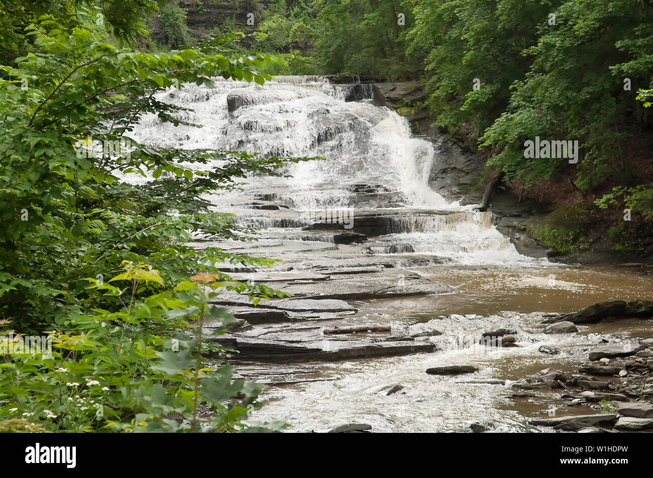 A flowing stream and cascade of water over rocks Stock Photo - Alamy