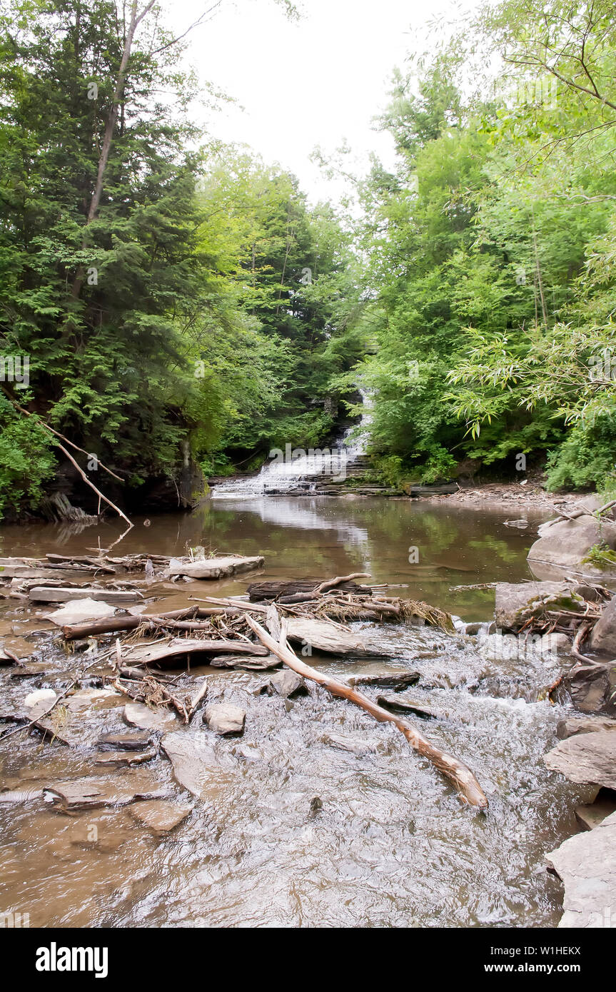Pretty river and small waterfall with rapids flowing over rocks Stock ...