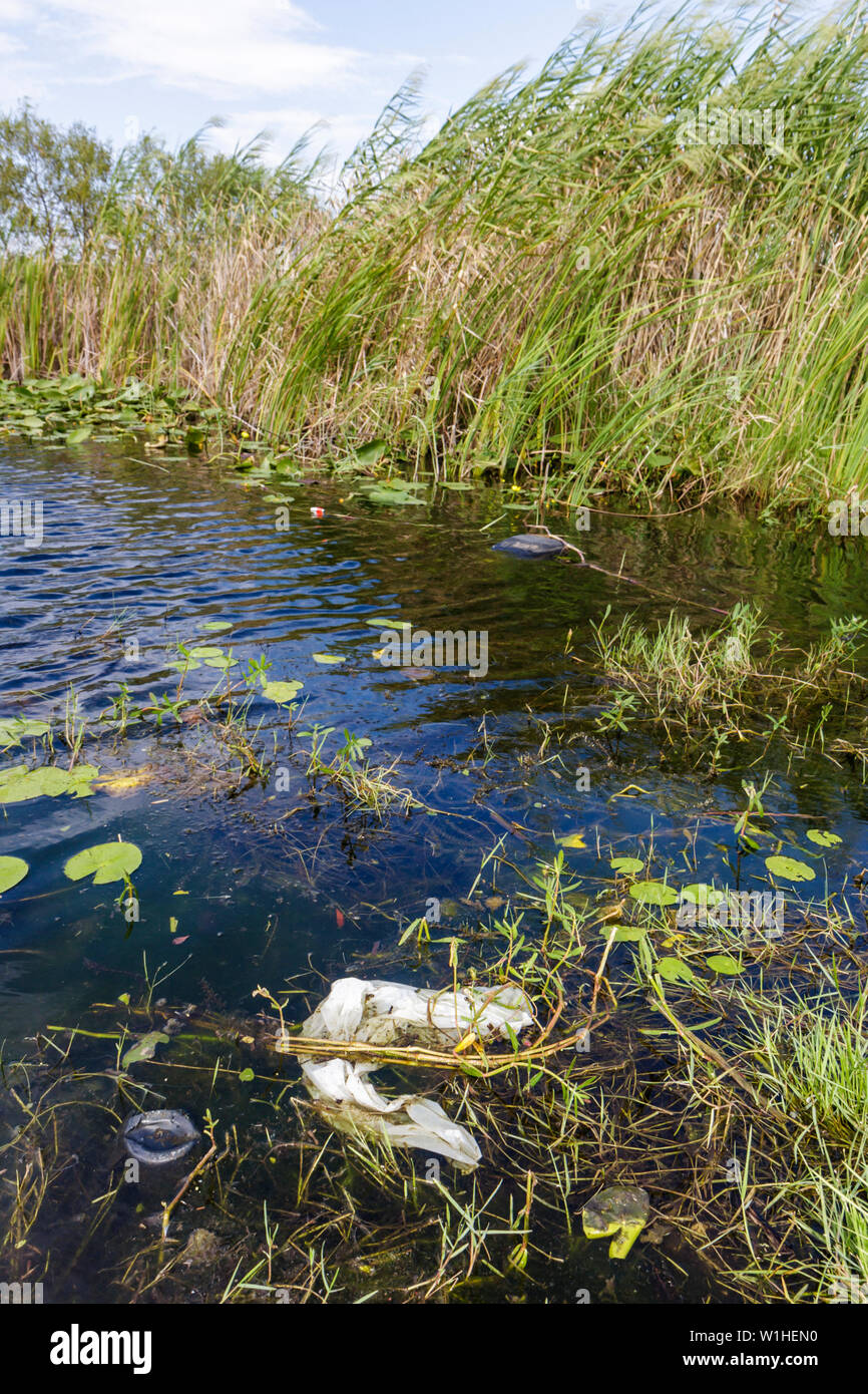 Wetland ecosystem hi-res stock photography and images - Alamy