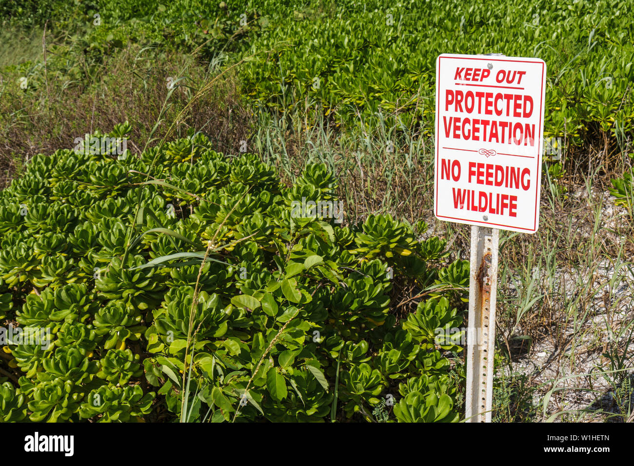 Florida Lee County,Bonita Springs,Gulf of Mexico Coast,public beach ...
