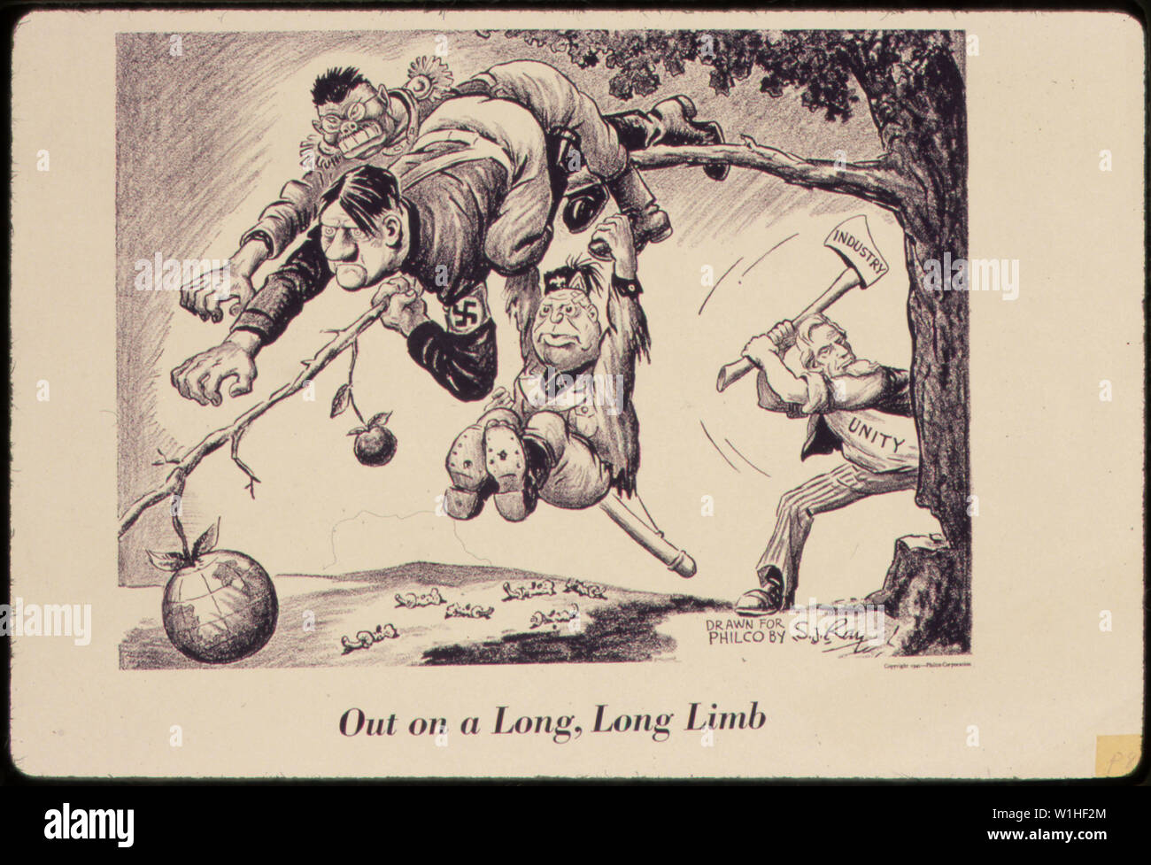 Out on a long long limb hi-res stock photography and images - Alamy