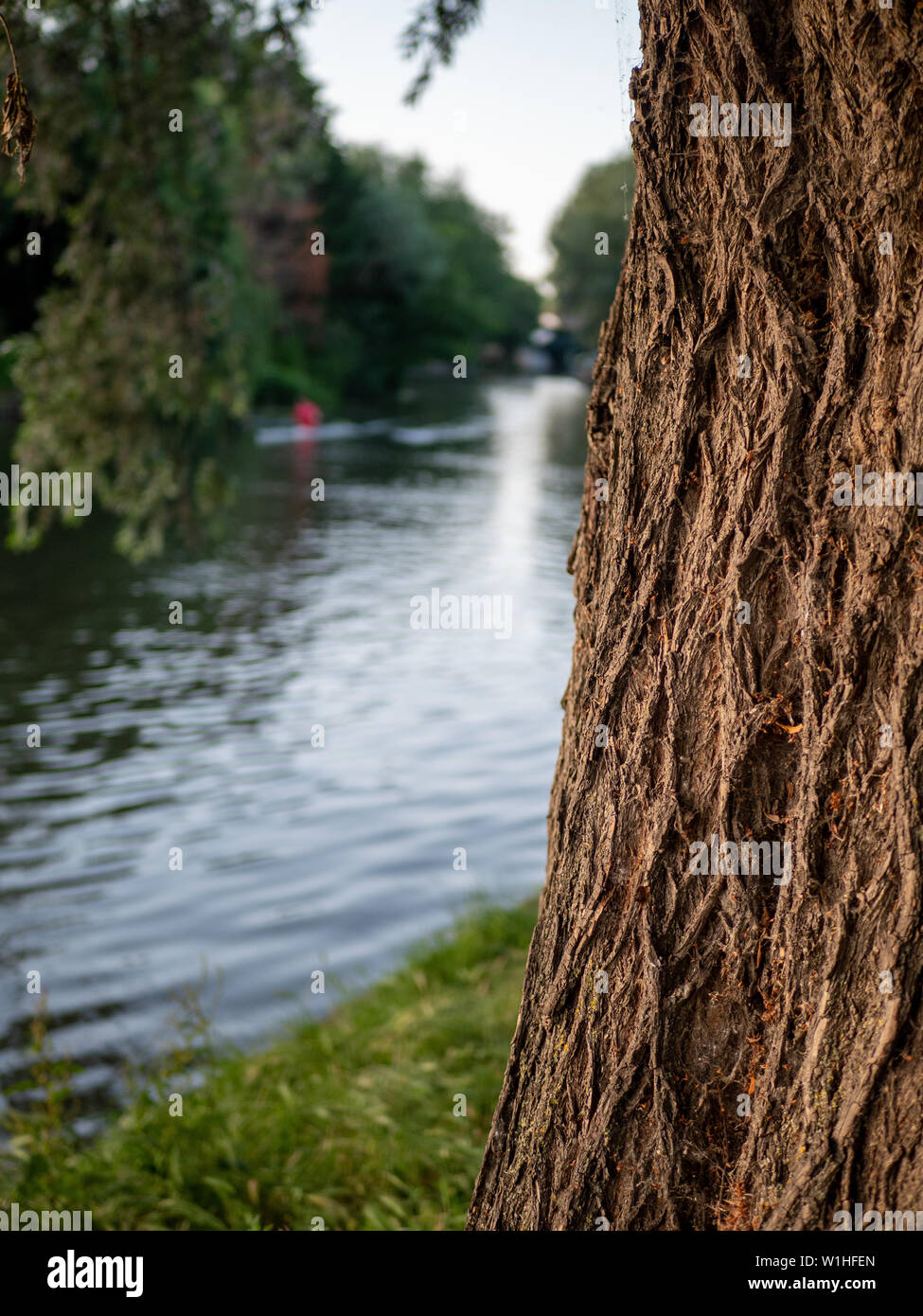 Riverside texture hi-res stock photography and images - Alamy