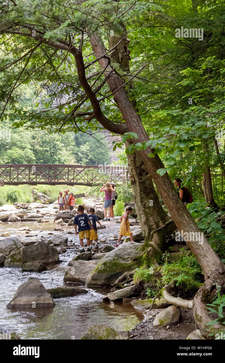 Chittenango creek hi-res stock photography and images - Alamy