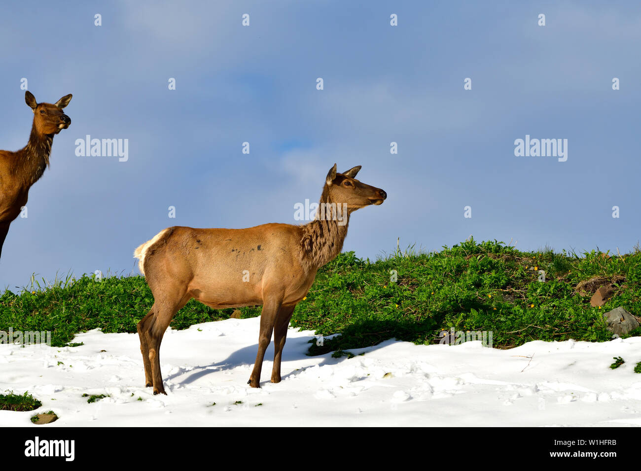 The Ridge Line High Resolution Stock Photography and Images - Alamy