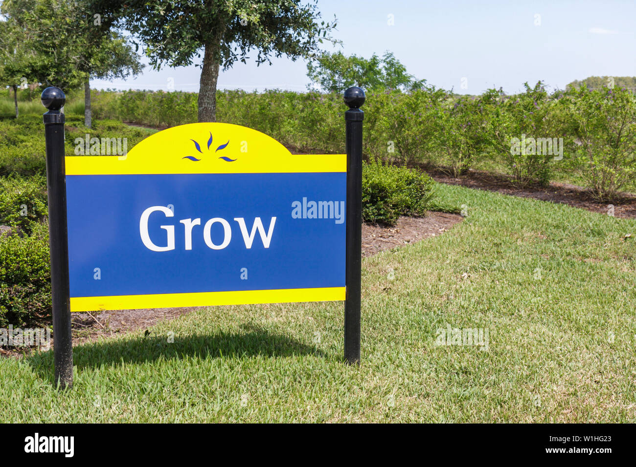 Naples Florida,Ave Maria,planned community,college town,Roman Catholic ...