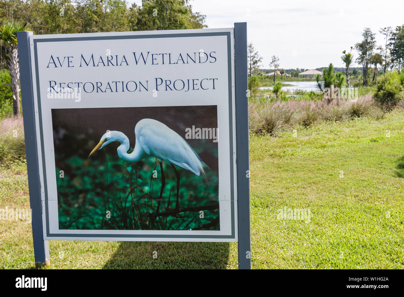 Naples Florida,Ave Maria,planned community,college town,Roman Catholic ...