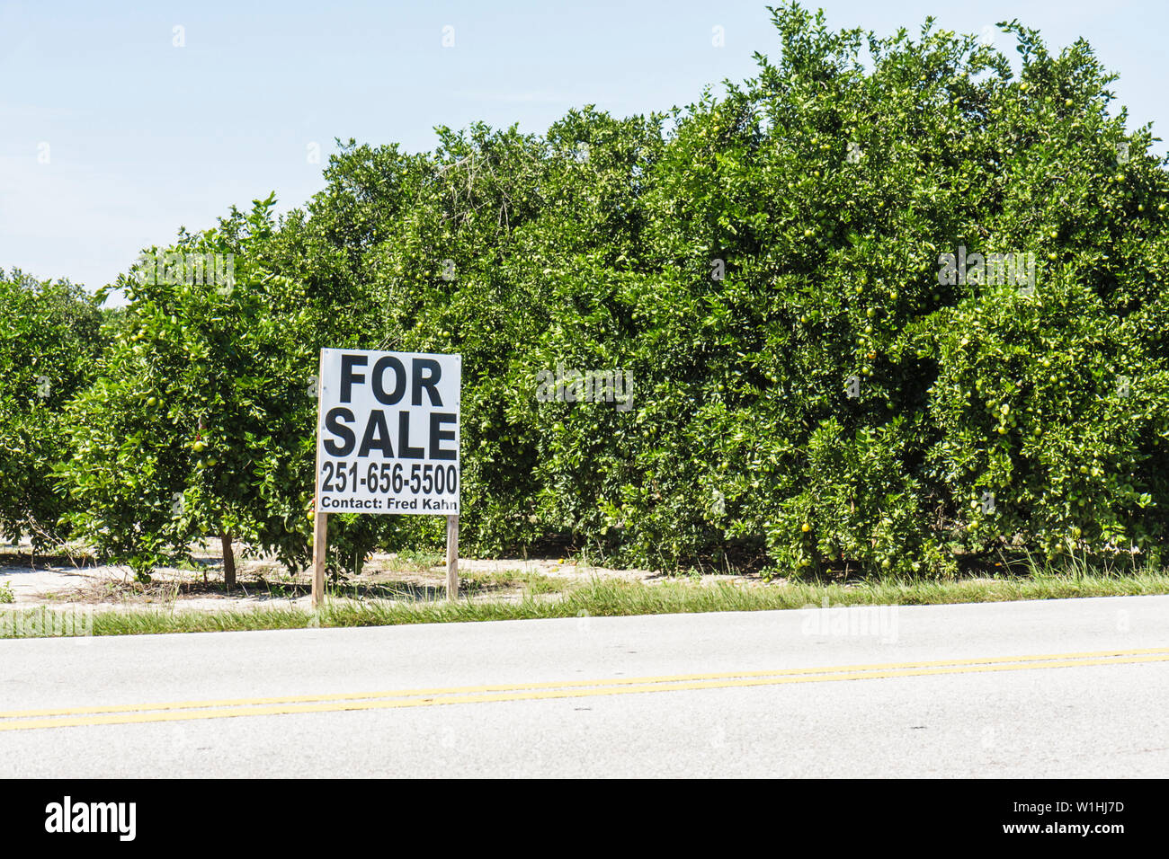 Florida Highlands County,Avon Park,US highway Route 27,citrus,orange ...