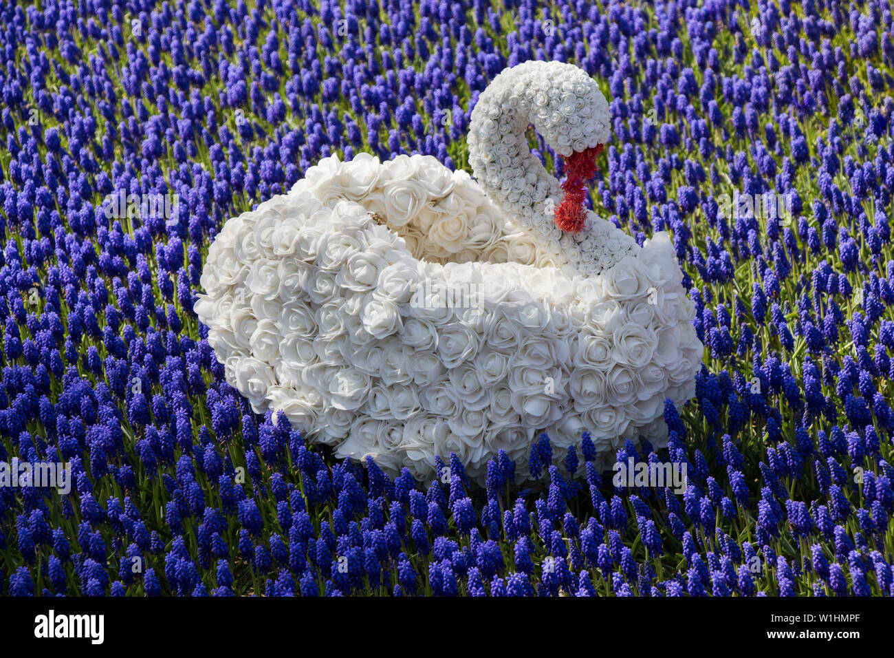 Swan figure made of flowers in the spring flower garden Stock Photo - Alamy