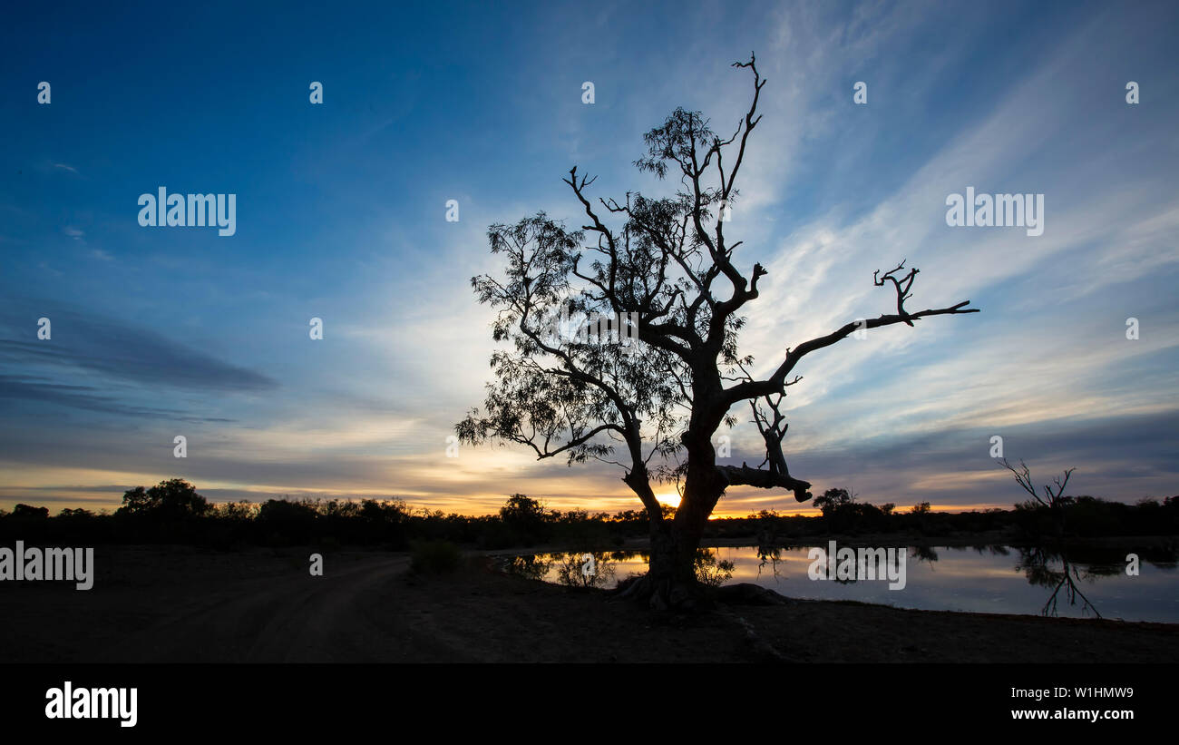 Dramatic sky, trees in silhouette and reflections on water at dusk in ...