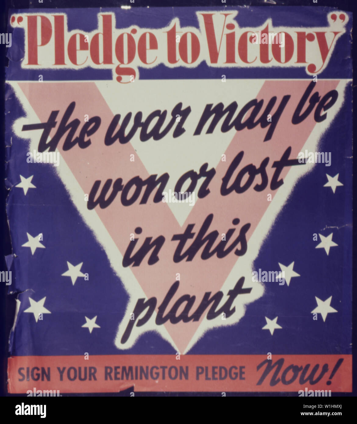 Pledge to Victory. the war may be won or lost in this plant Stock Photo ...