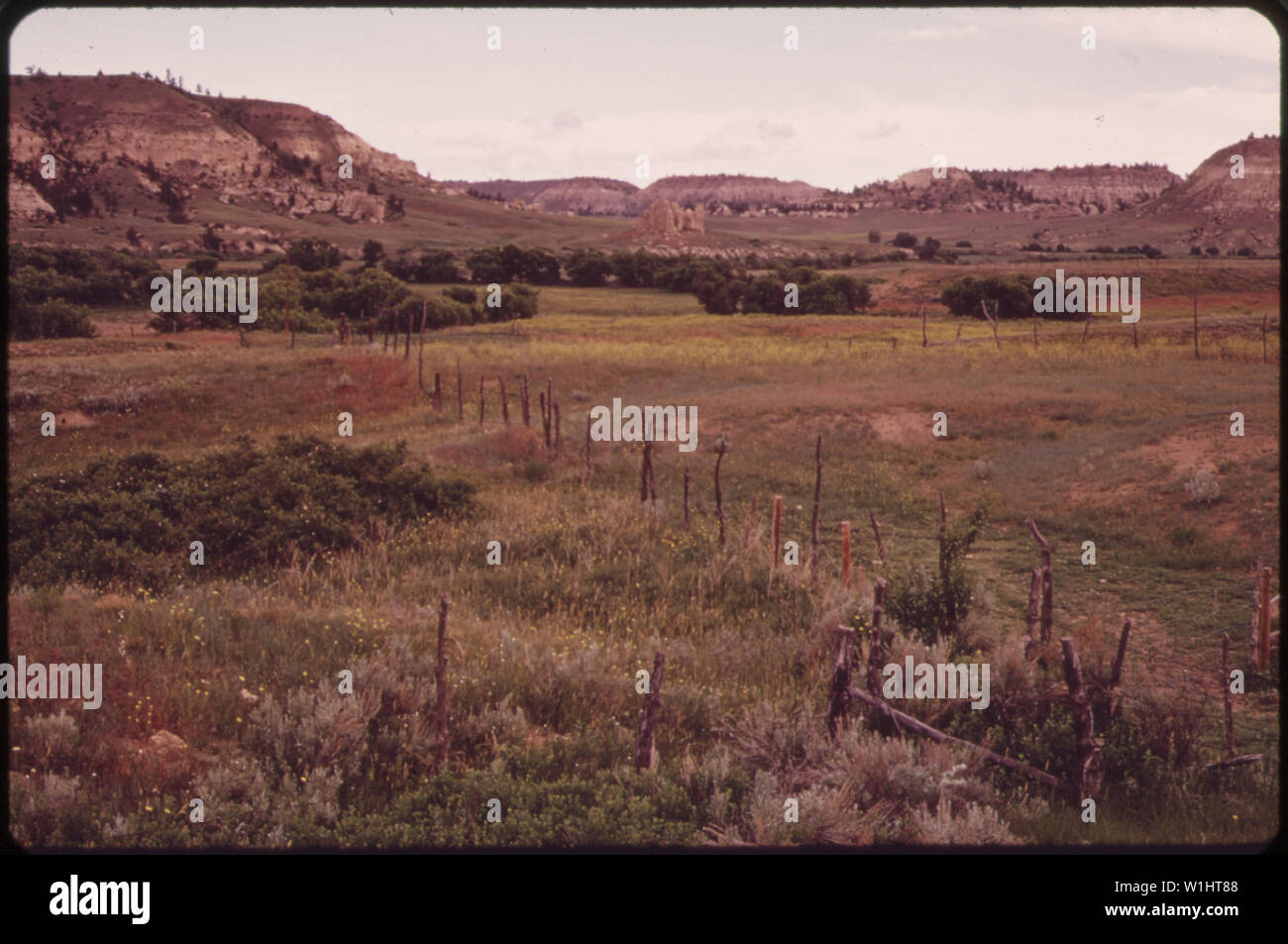 RANCH LANDS IN THE POWDER RIVER BASIN NEAR COLSTRIP LONG-RANGE PLANS ...