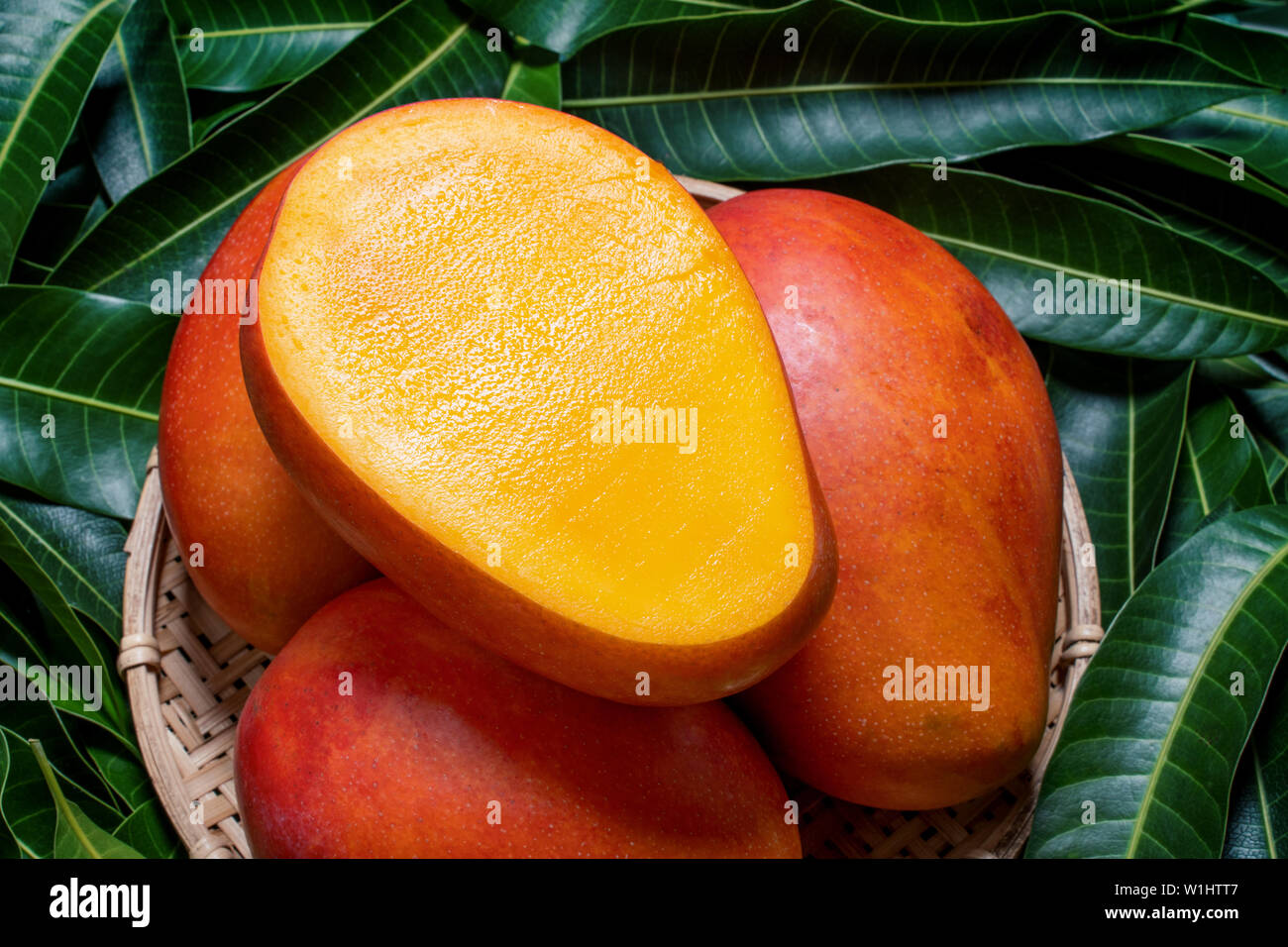 Bamboo pulp hi-res stock photography and images - Alamy