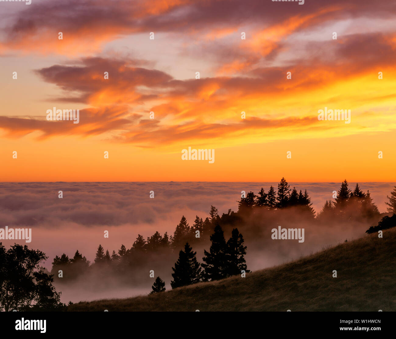 Golden Gate National Park Sunset
