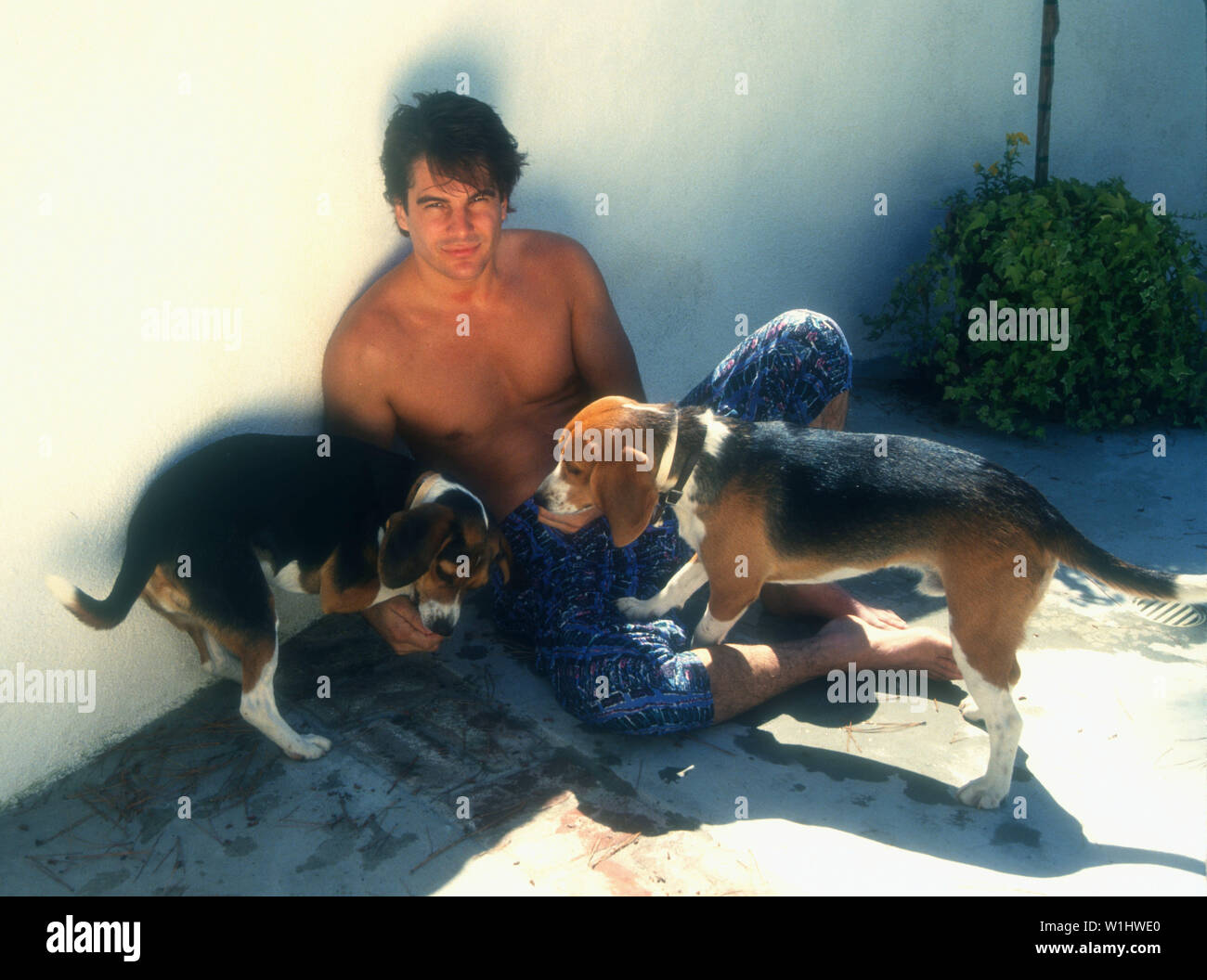 Los Angeles, California, USA 8th August 1994 (Exclusive) Actor Thom ...