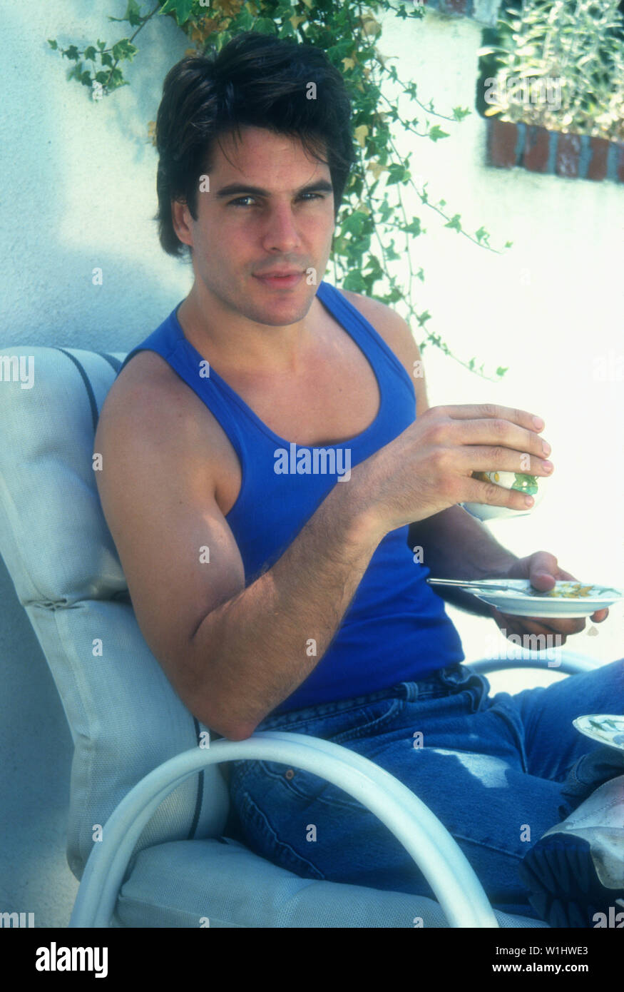 Los Angeles, California, USA 8th August 1994 (Exclusive) Actor Thom ...