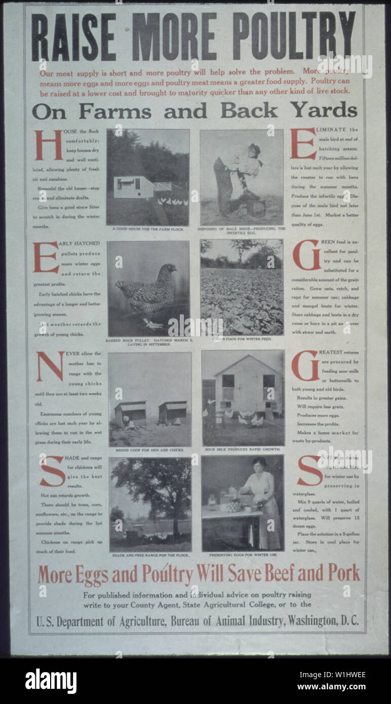 Raise More Poultry...on Farms and Back Yards...More Eggs and Poultry ...