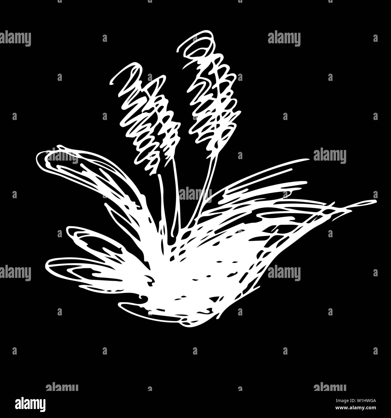 Cotto logo hi-res stock photography and images - Alamy