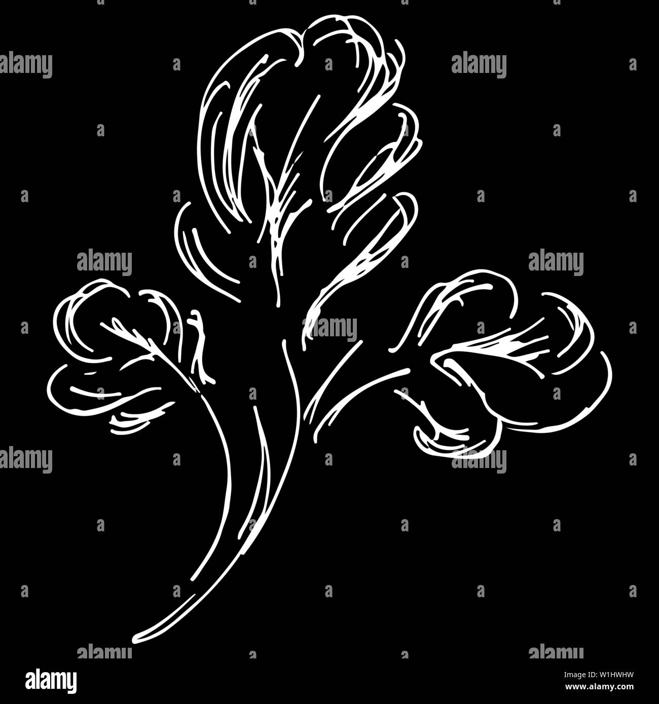 Cotto logo hi-res stock photography and images - Alamy