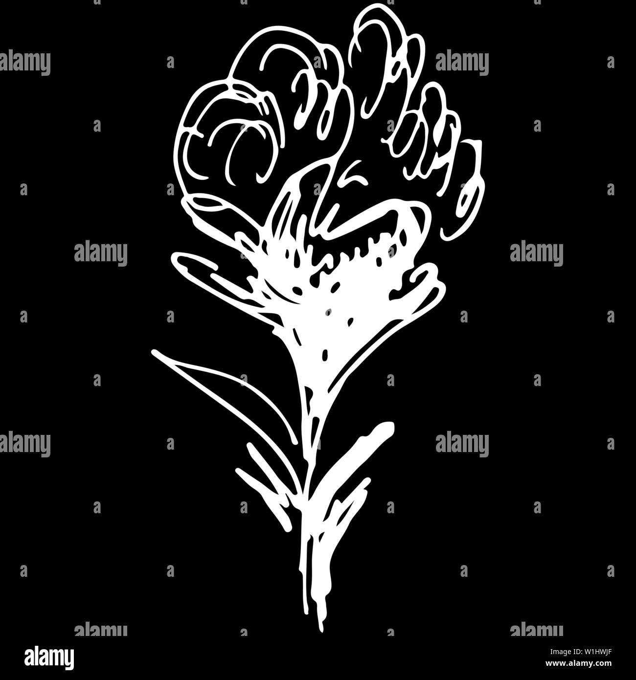 Cotto logo hi-res stock photography and images - Alamy