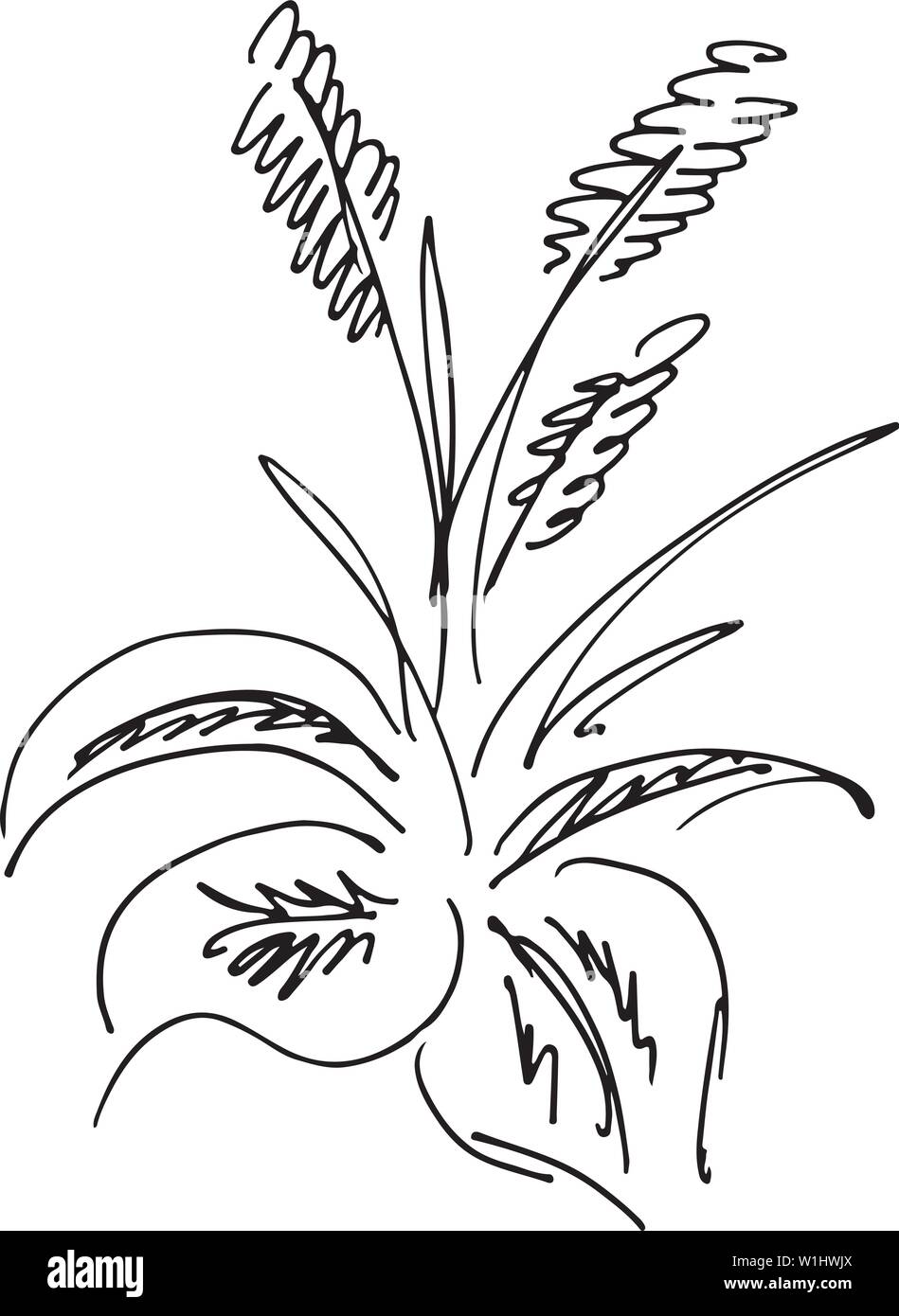 Engraved Vector Hand Drawn Illustrations Of Abstract Flowers Isolated ...