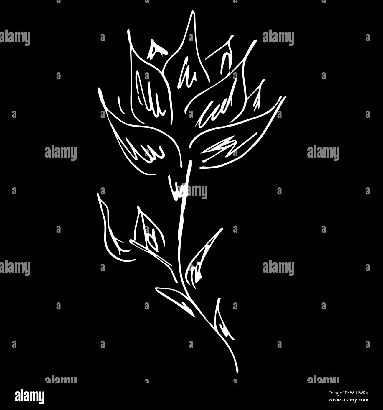 Abstract hand drawn lotus flower isolated on black background. Vector ...