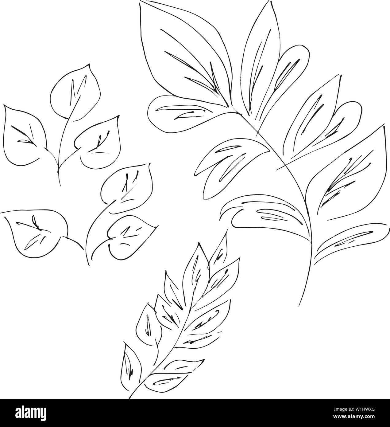 Hand Drawn Vector Illustrations Of Abstract Set of leaves Isolated on ...