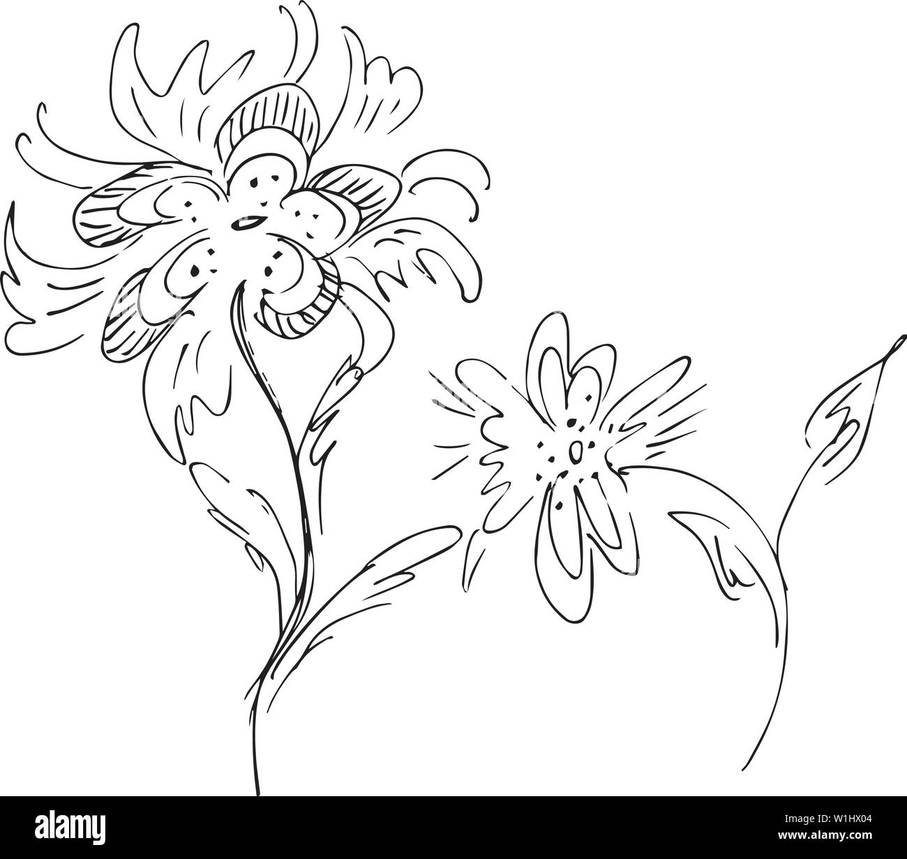 Hand Drawn Vector Illustrations Of Abstract Set of Flowers Isolated on ...