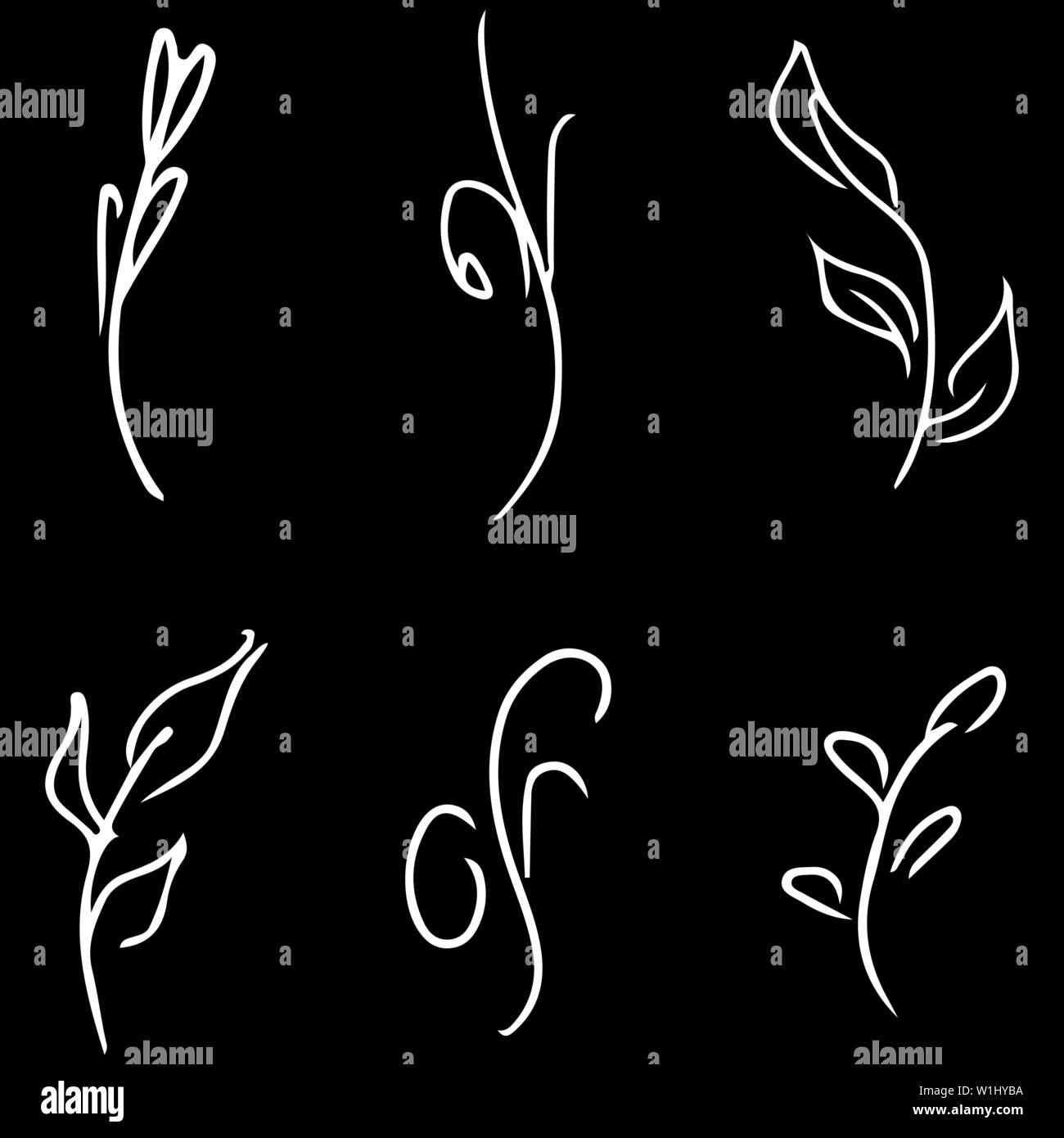 Flowers and branches isolated on black background. Hand drawn doodle ...