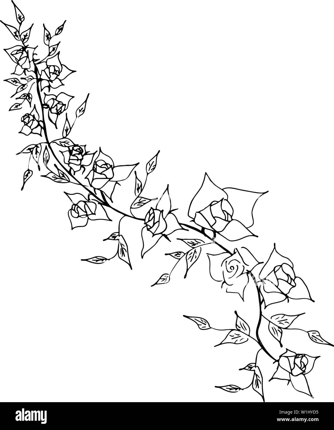 Hand Drawn Vector Illustrations Of Abstract Rose Flower Branch Isolated ...