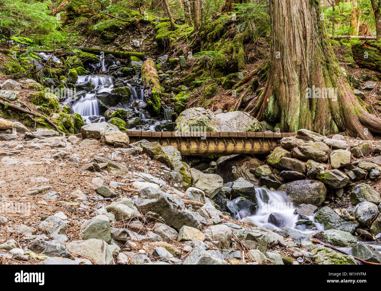 fast mountain stream at summer time in in garibaldi provincial park ...