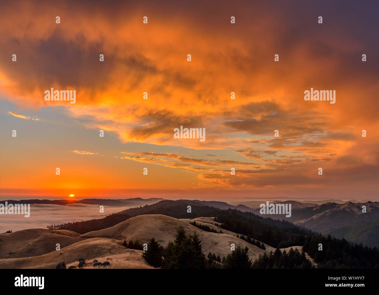 Bolinas Ridge, Mount Tamalpais State Park, Golden Gate National ...